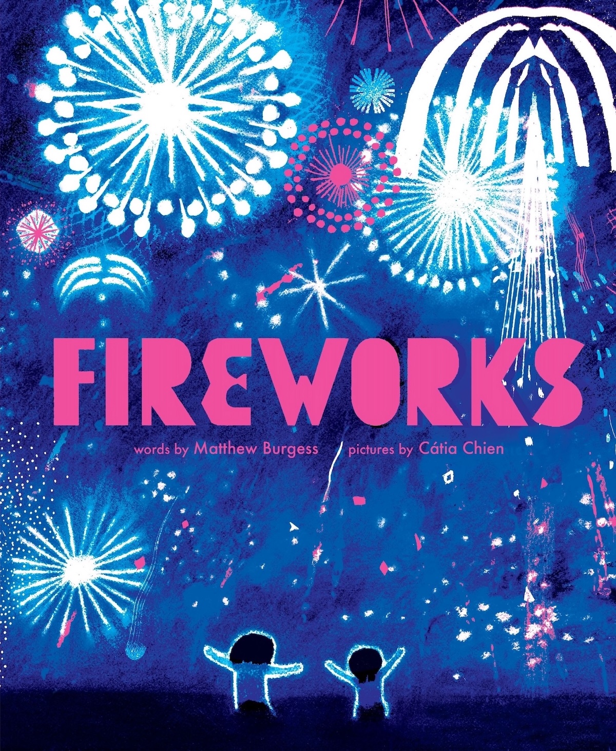 Fireworks by Matthew Burgess – Book Review – Waking Brain Cells